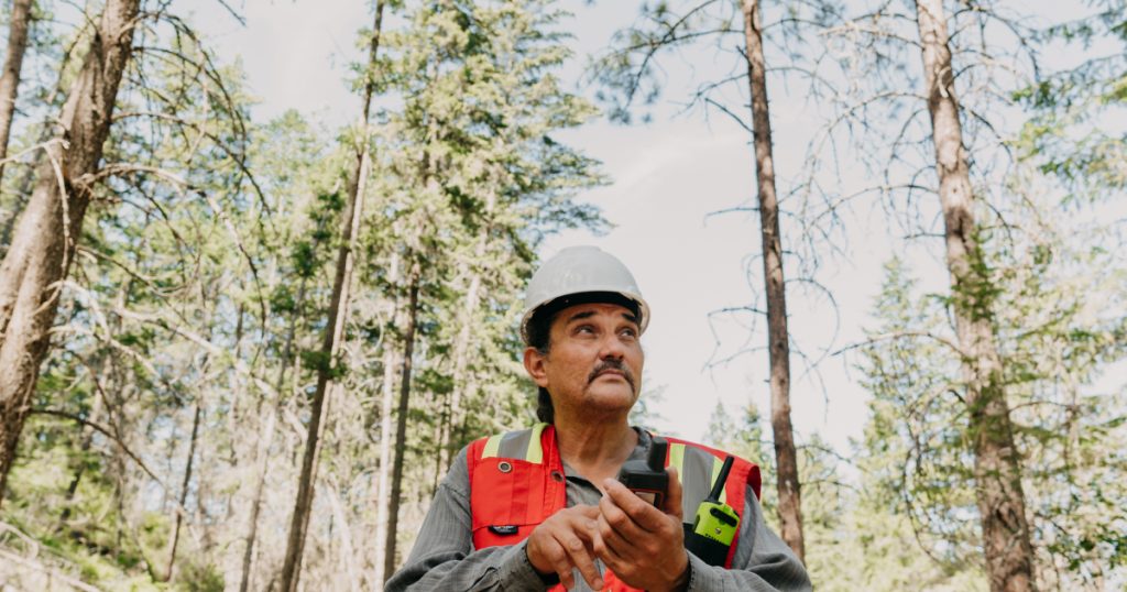 First Nations Technology Council Hosts Information Session on Project ...