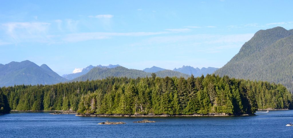 What We Do | First Nations Technology Council